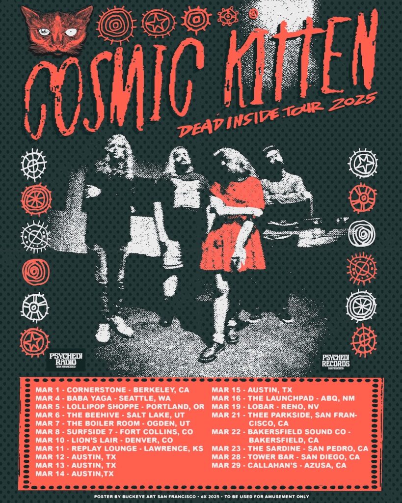 Cosmic Kitten Embarks on a U.S. Tour! - Psyched! Records SF